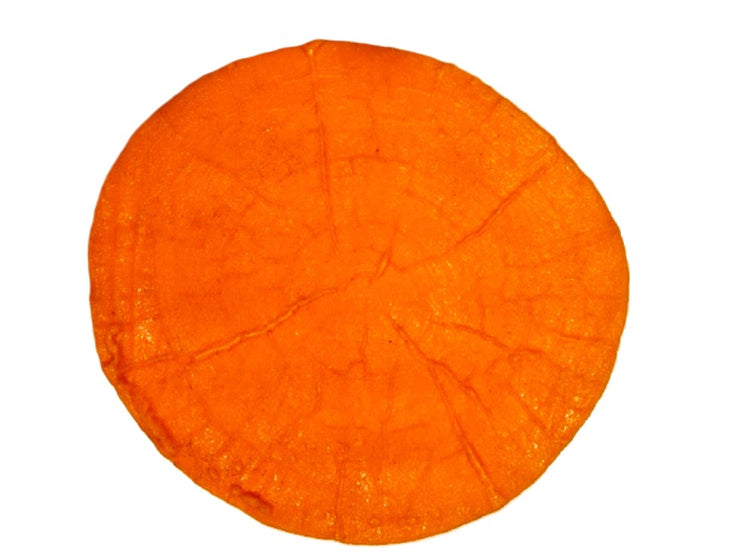 Tree Stump Stamp Kit – SBC Decorative Concrete Training and Products